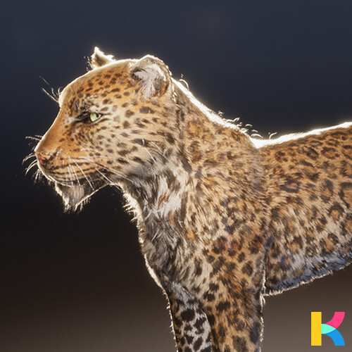 ArtStation - Krikey Leopard (Rendered in Unity)