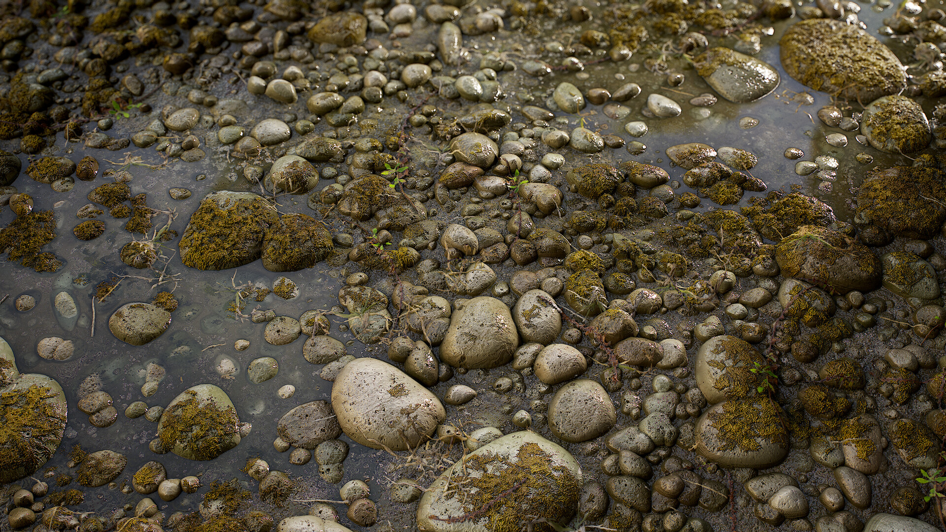 ArtStation - River Pebbles Material