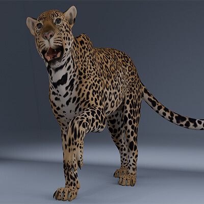 ArtStation - Leopard animations