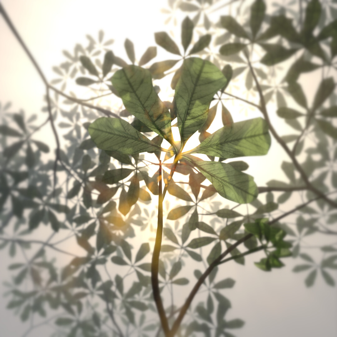 ArtStation - Leaf growth of the shrub | Blender animation