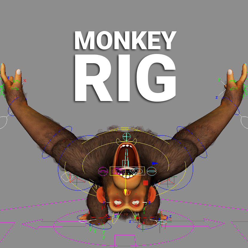 ArtStation - Monkey rig