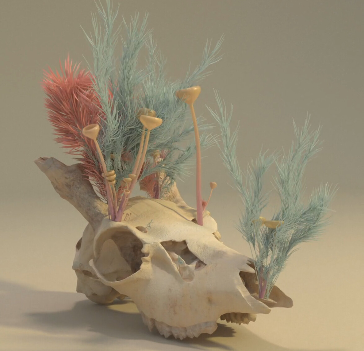 ArtStation - Procedural plants