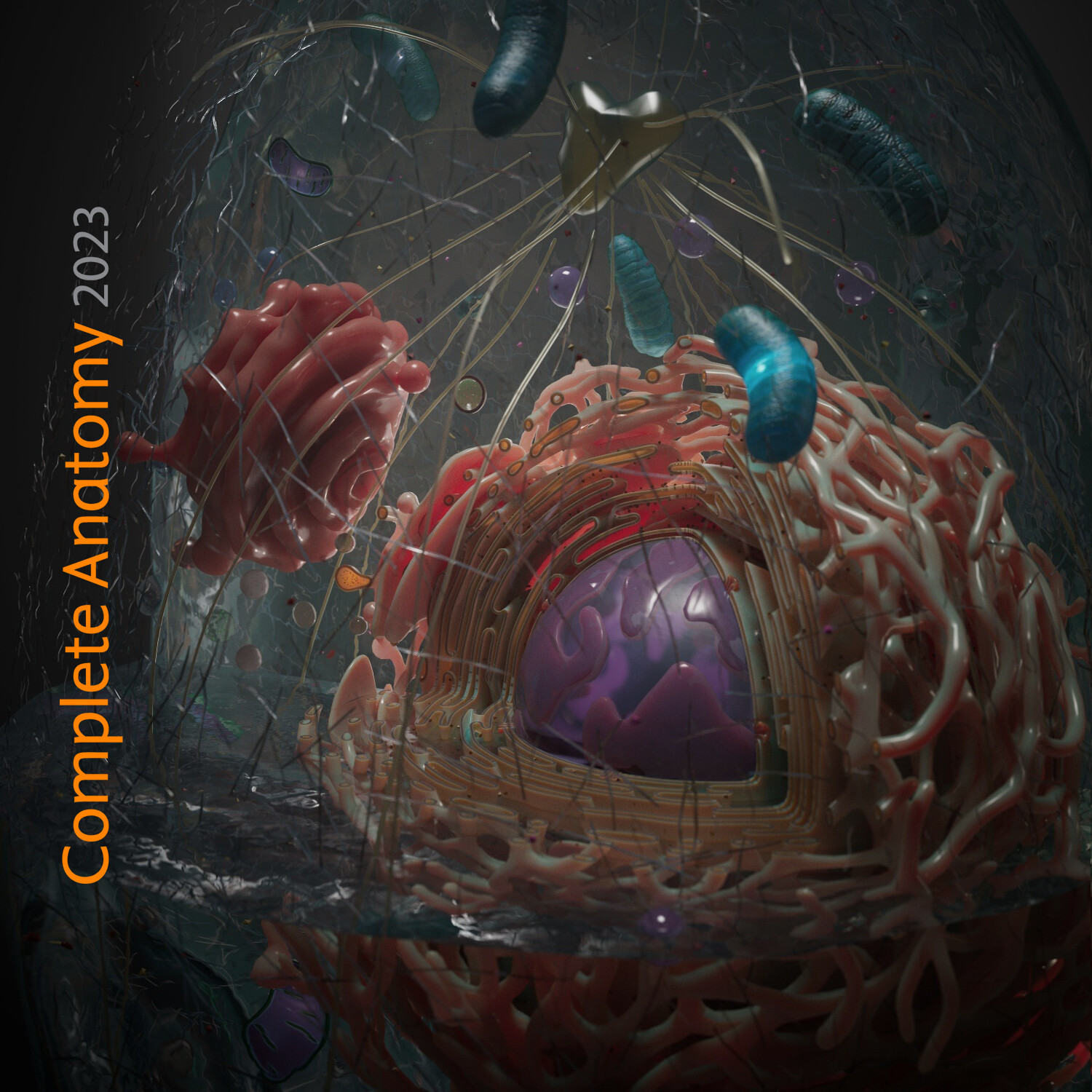 ArtStation - Eukaryotic Cell