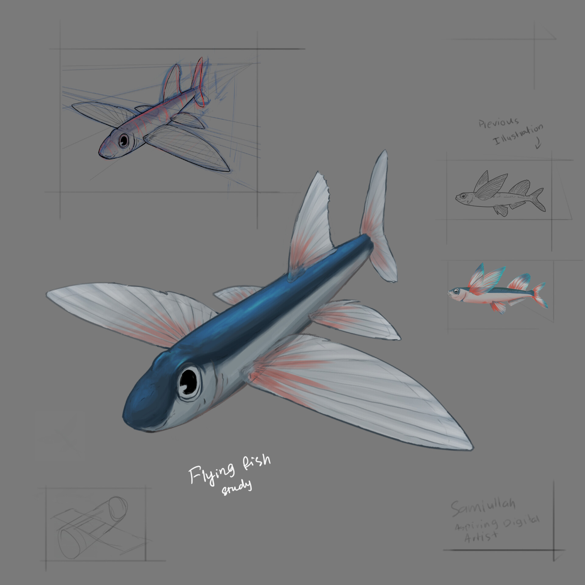 ArtStation - Flying fish study