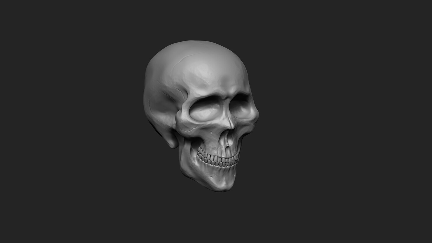 ArtStation - Skull Study