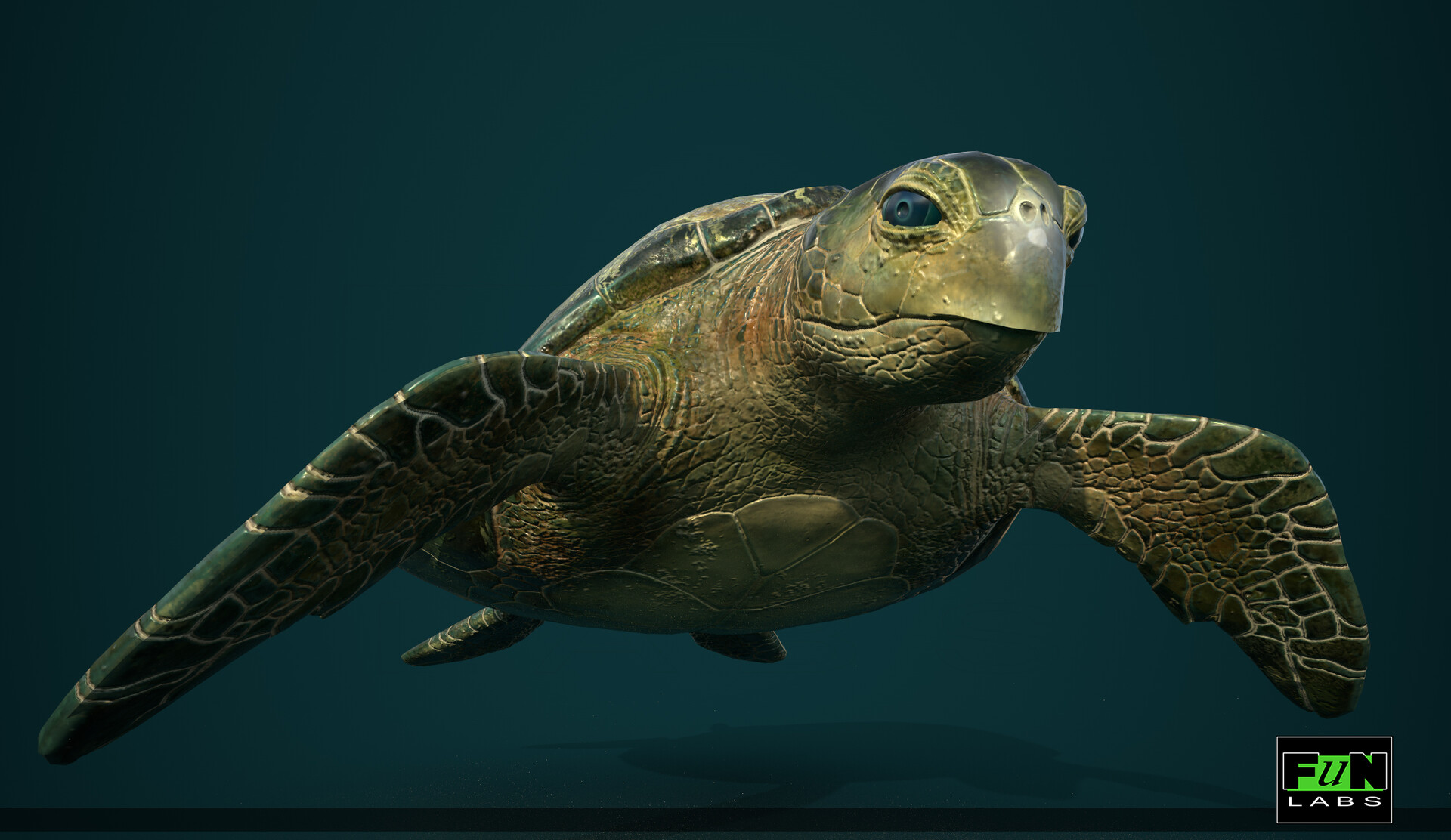 ArtStation - Sea Turtle