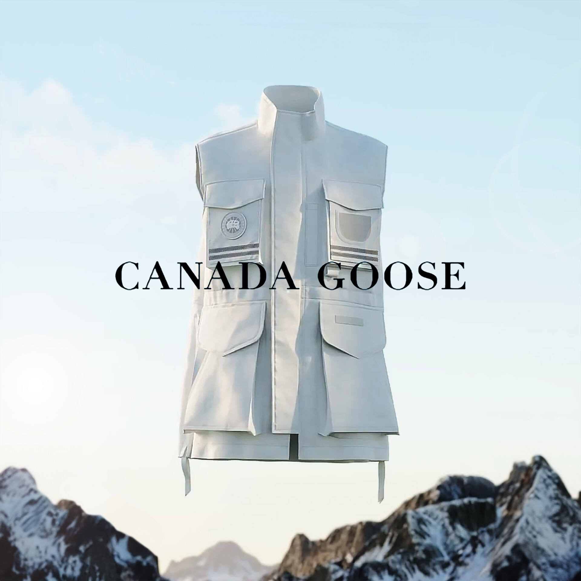ArtStation - Canada Goose - HUMANATURE