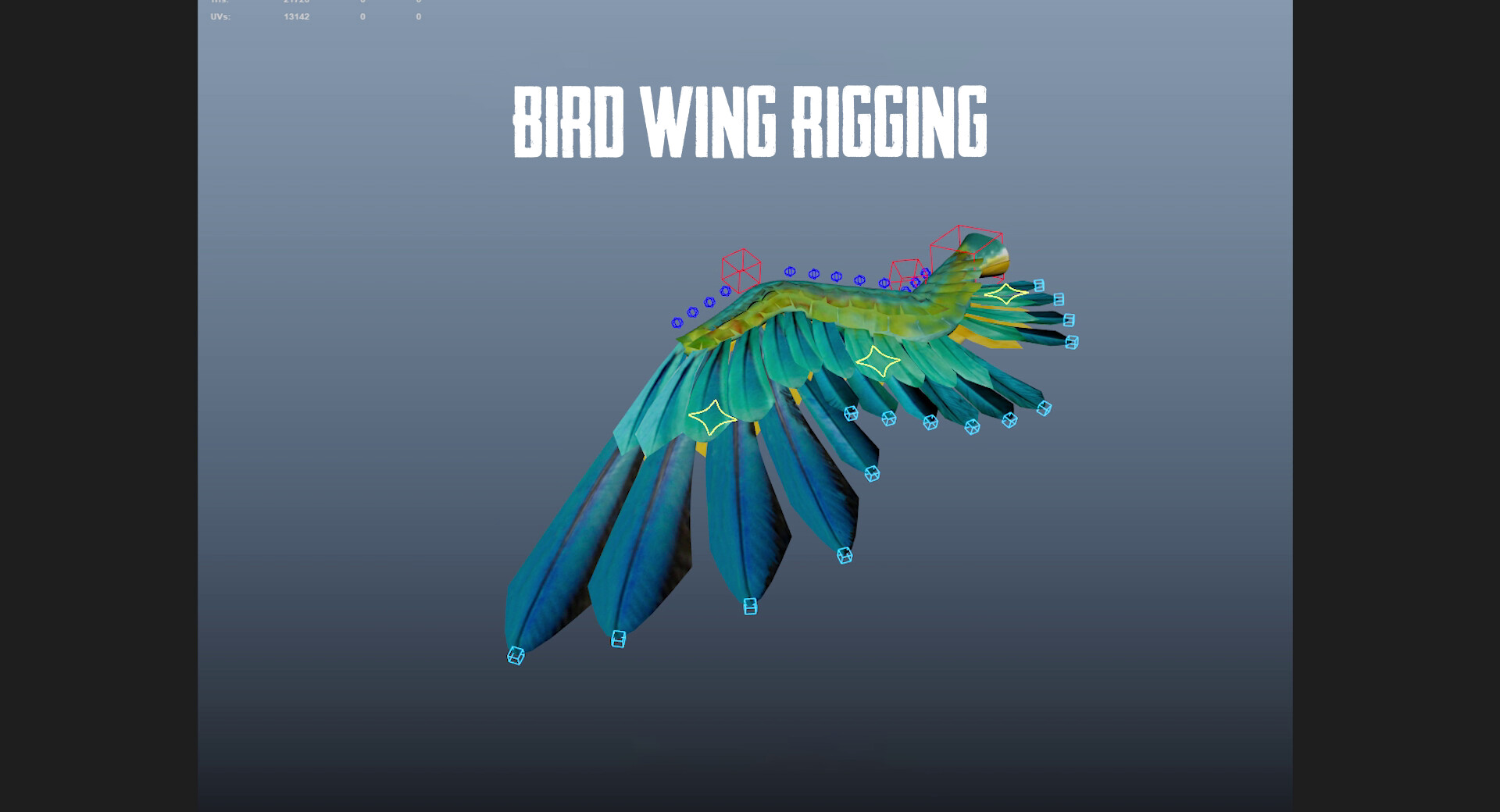 ArtStation - Bird Wing Rigging