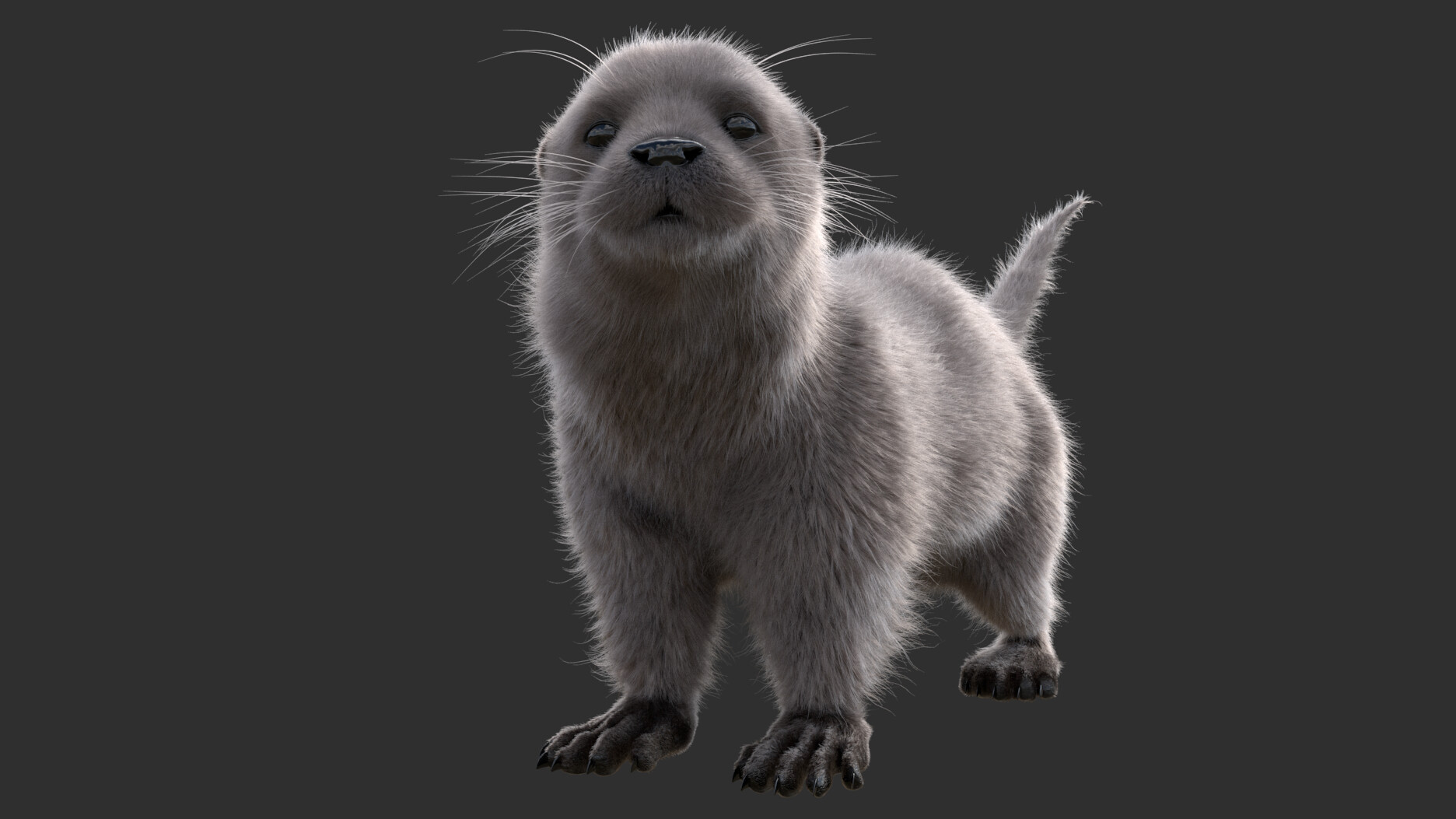 ArtStation - OTTER GROOM - HOUDINI