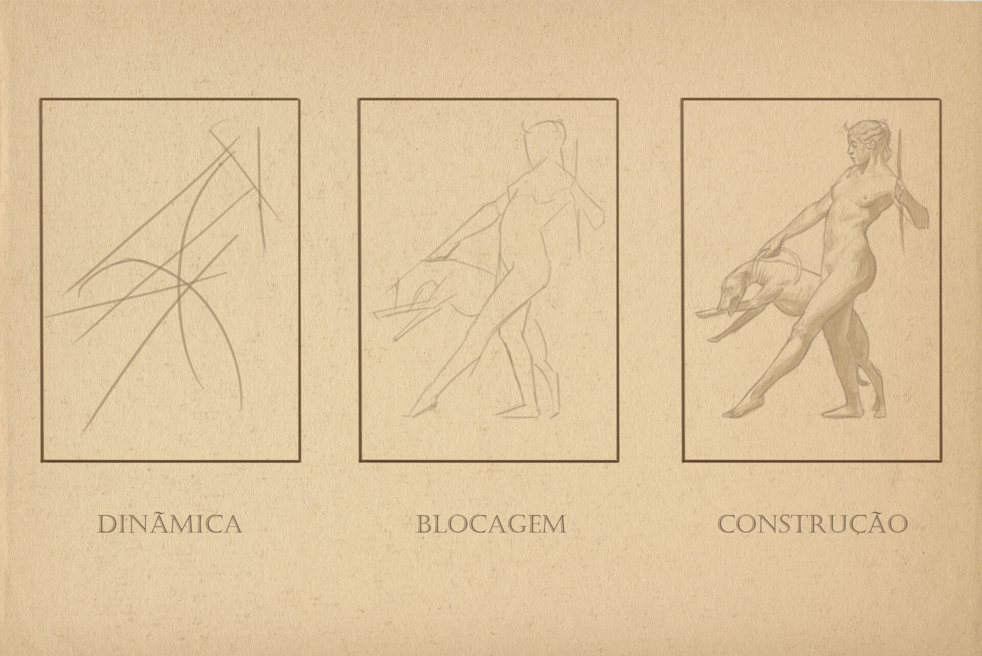 ArtStation - Line Phases - Classic Study
