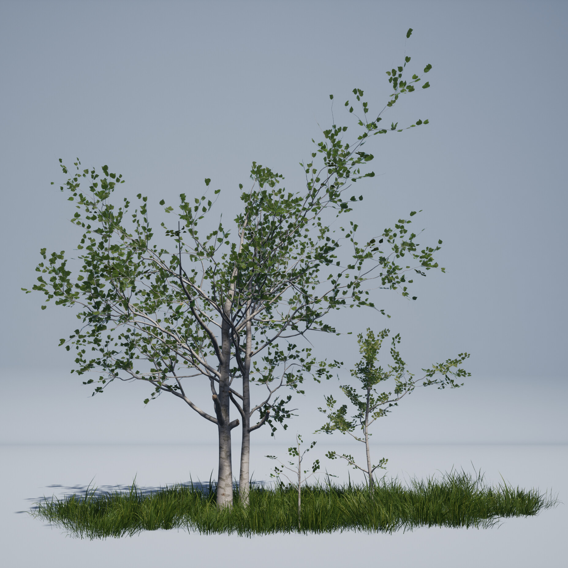 ArtStation - Foliage practice