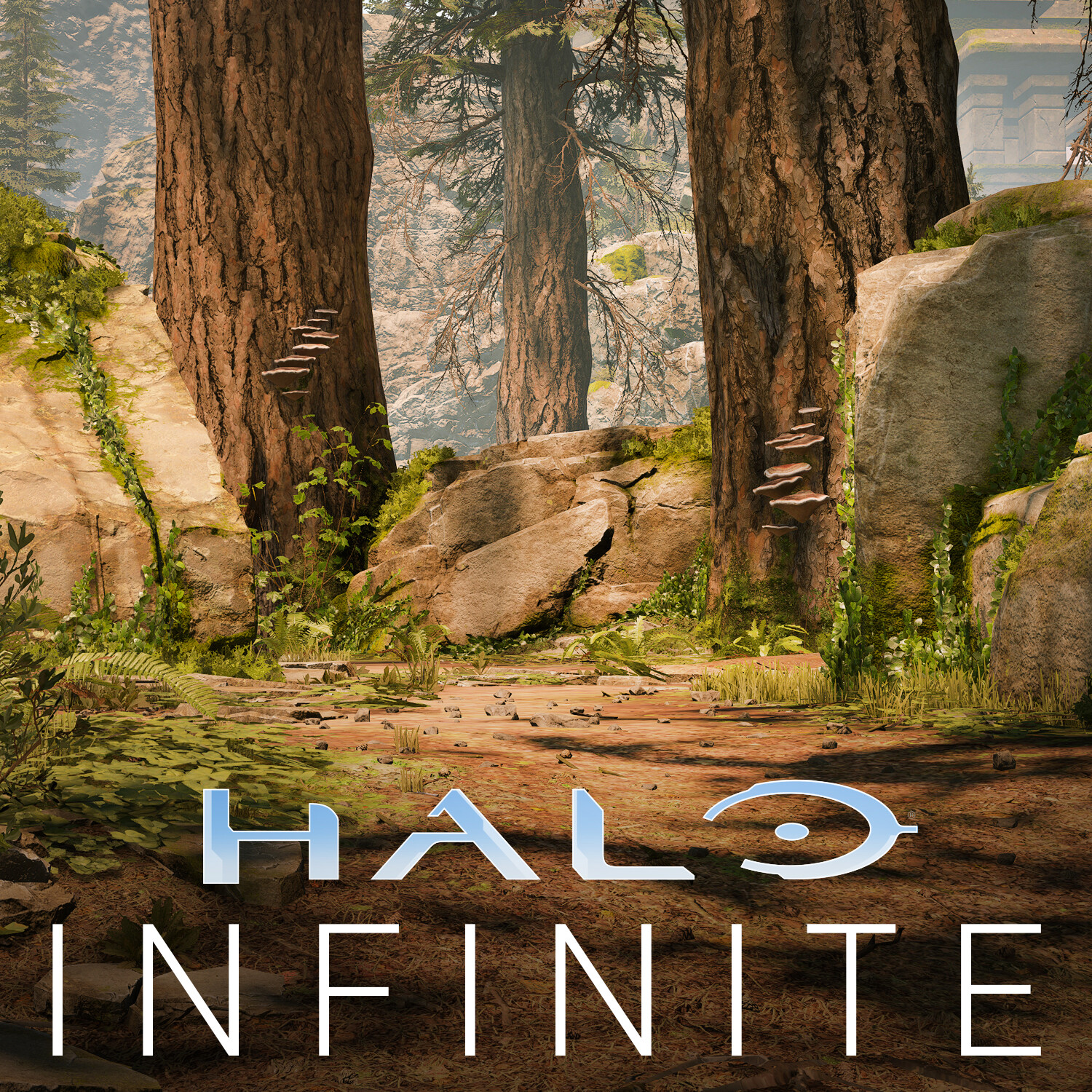 ArtStation - Halo Infinite: Forest