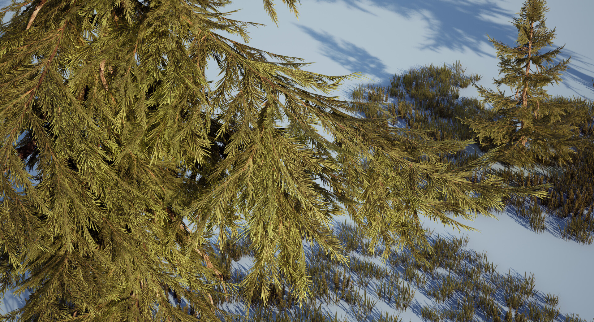 ArtStation - Spruce Tree. UE5.