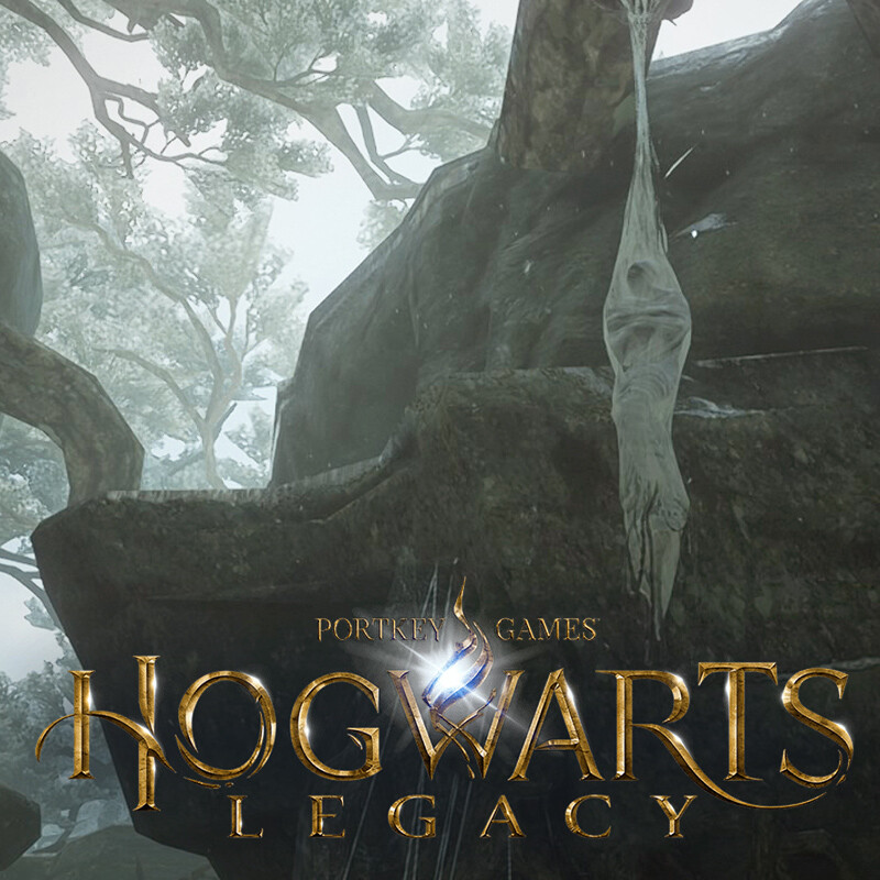 ArtStation - Hogwarts Legacy - Spider Assets