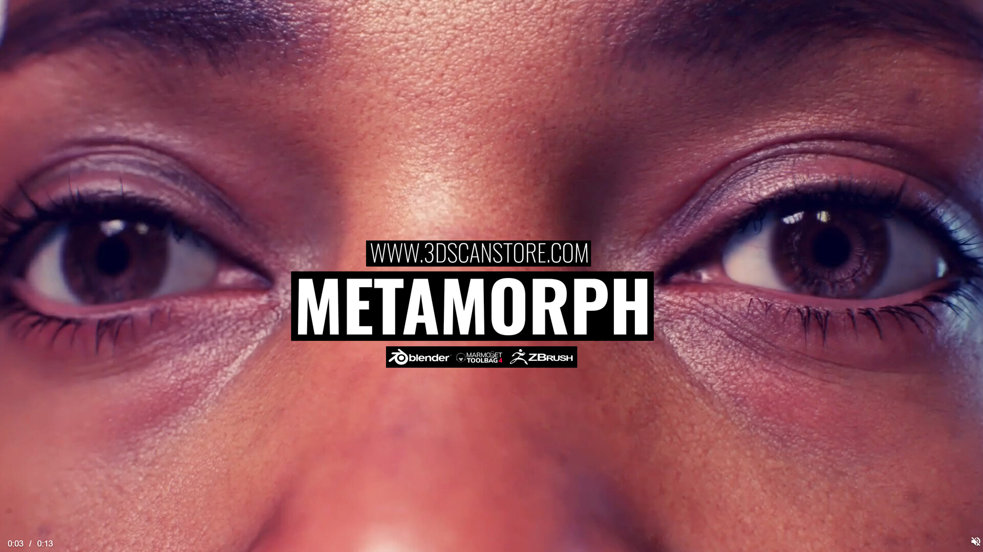 3D Scan Store - Metamorph