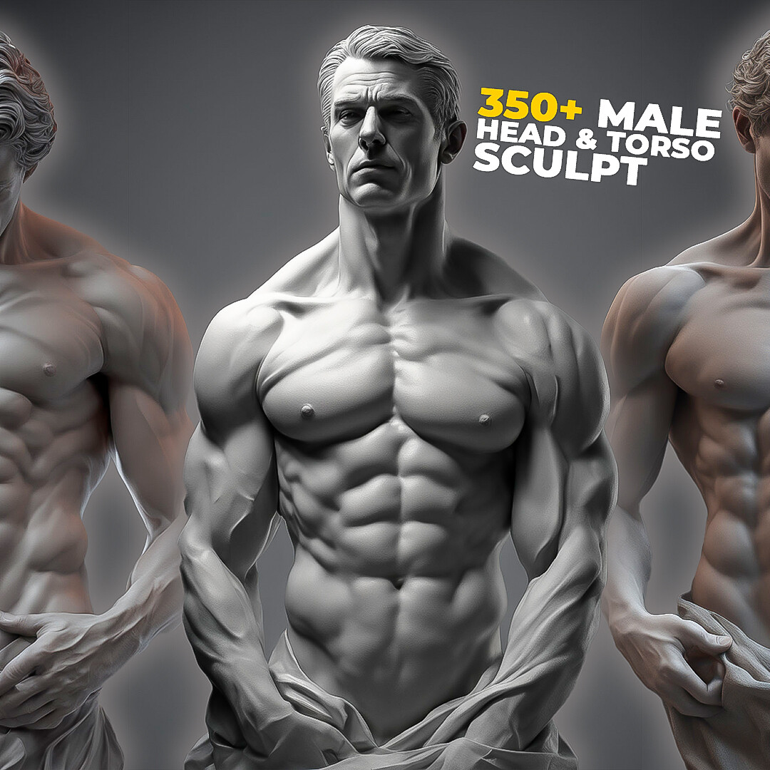 ArtStation - 350+ Male Head & Torso Sculpt References Pictures