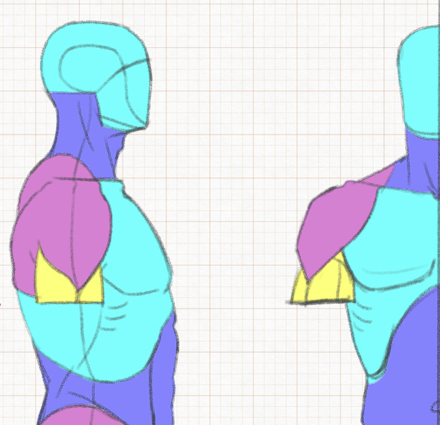 ArtStation - Torso Studies of Torso Studies