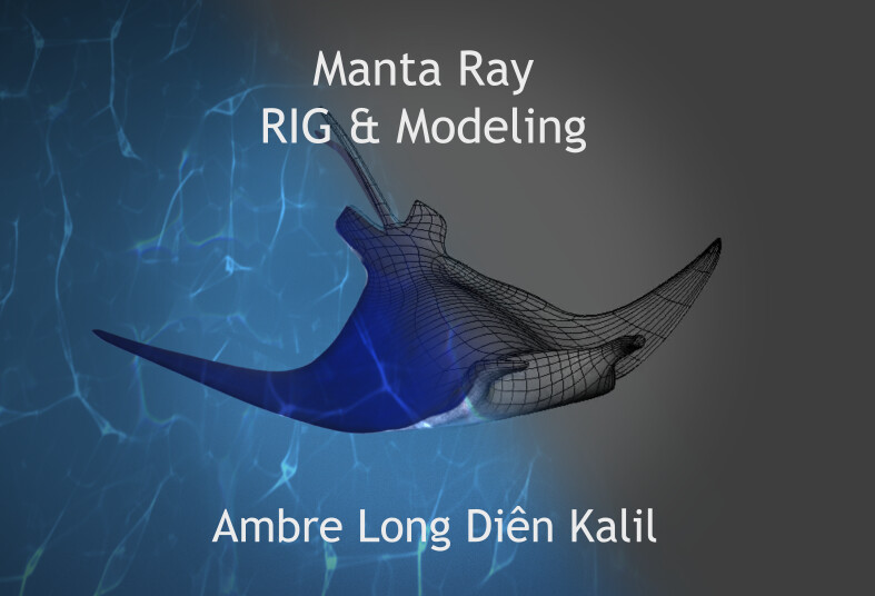 ArtStation - Manta Ray - RIG & Modeling