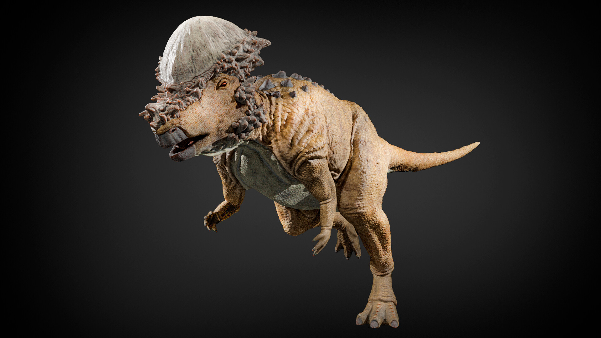 ArtStation - 3D Pachycephalosaurus