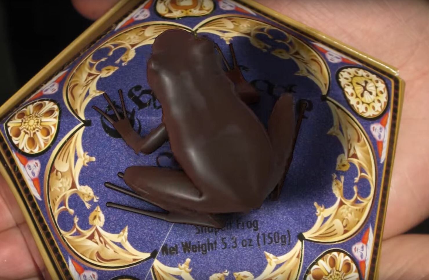 ArtStation - Chocolate Frog Test for Universal Orlando Product