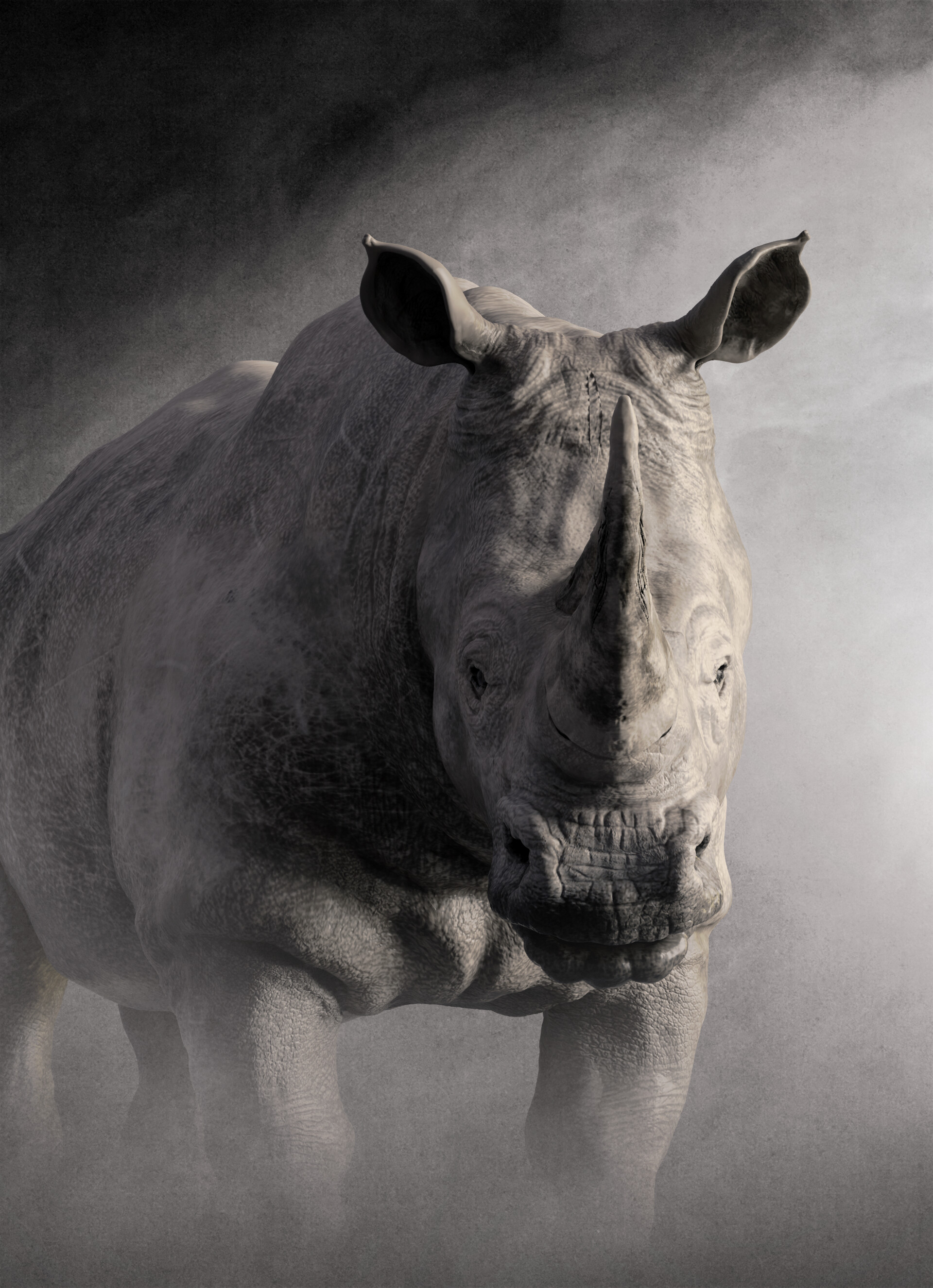 ArtStation - White Rhino project