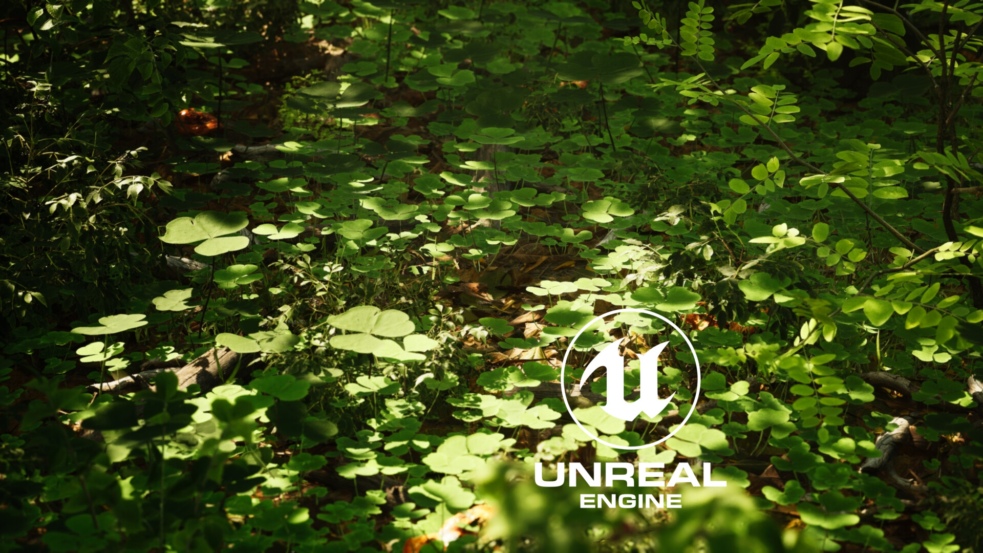 ArtStation - PCG Environment Project (Part-1)