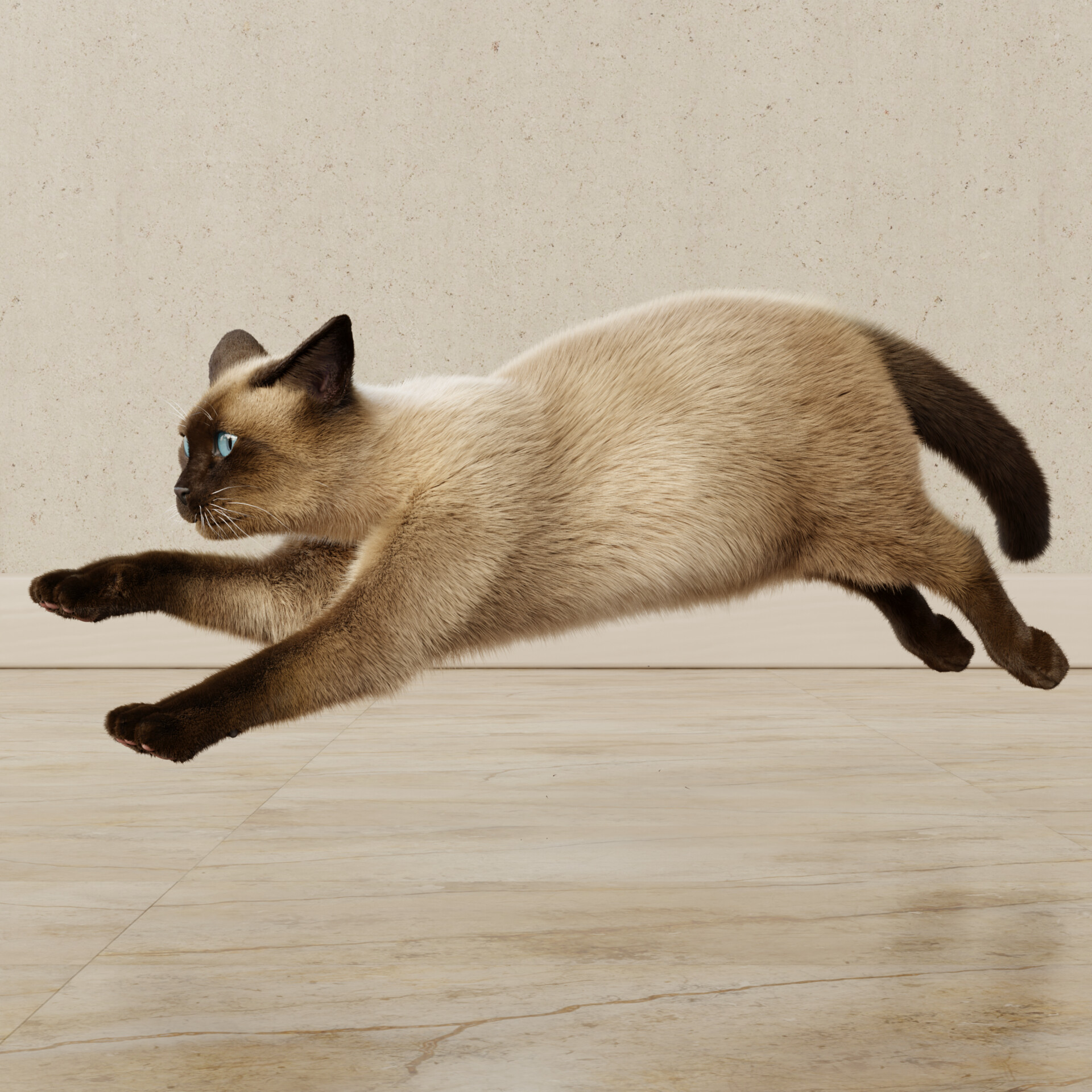 ArtStation - Siamese cat