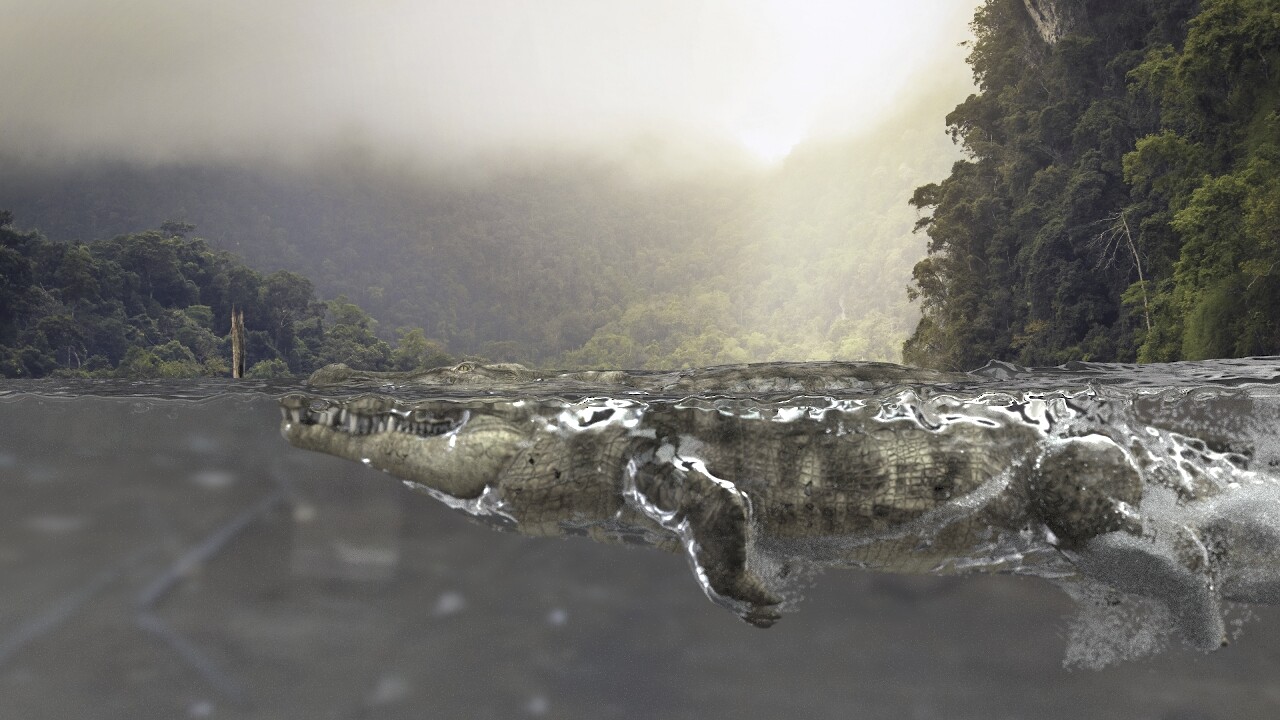 ArtStation - Nile Crocodile Swimming - Houdini