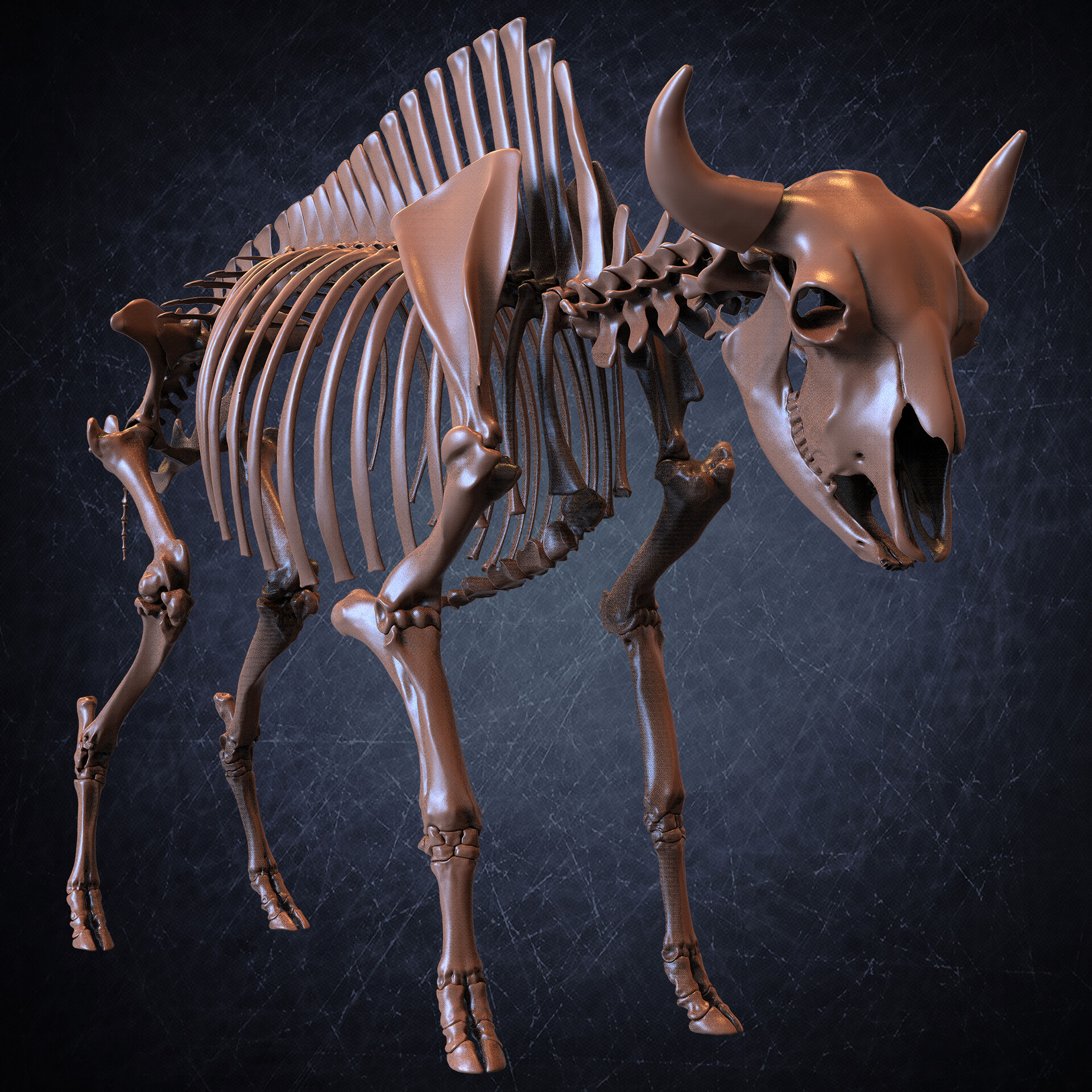 ArtStation - Modern Bison Skeleton 3D Model