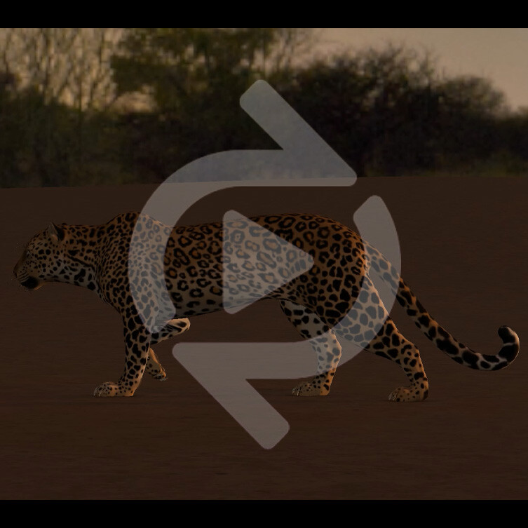 ArtStation - Leopard walking in savanah ( animation )