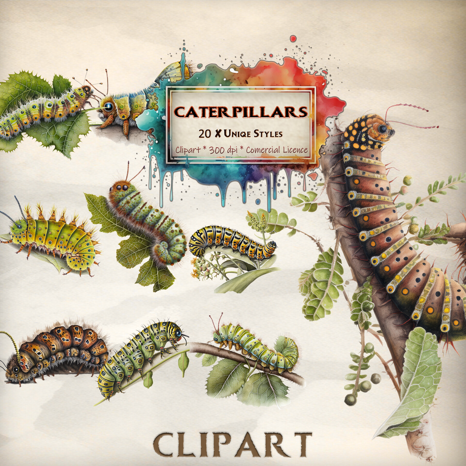 ArtStation - Caterpillar clipart