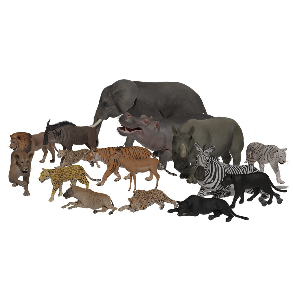 ArtStation - African Animal Pack