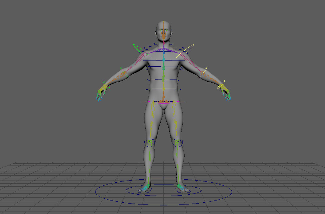ArtStation - Character Rigging