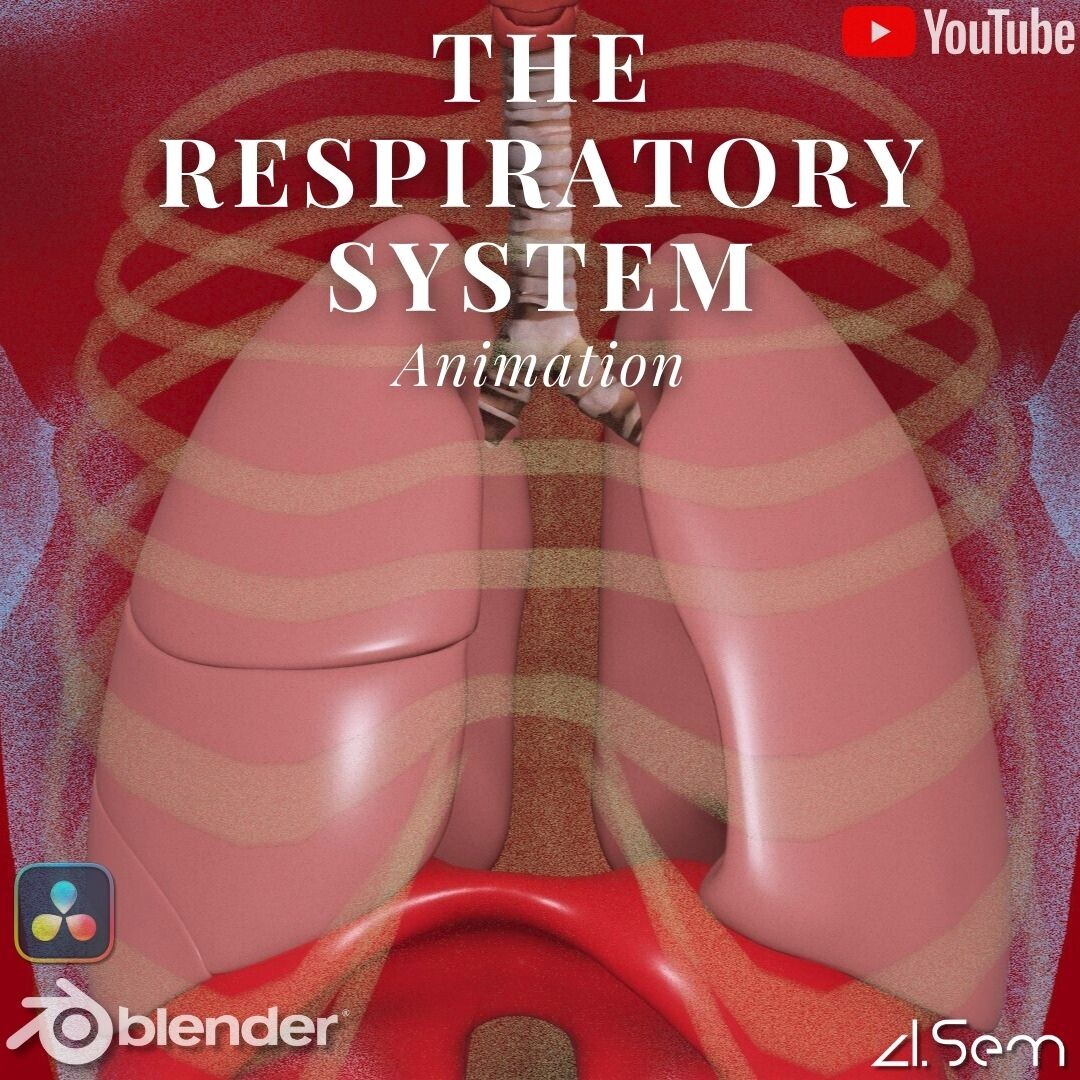 ArtStation - The Respiratory System