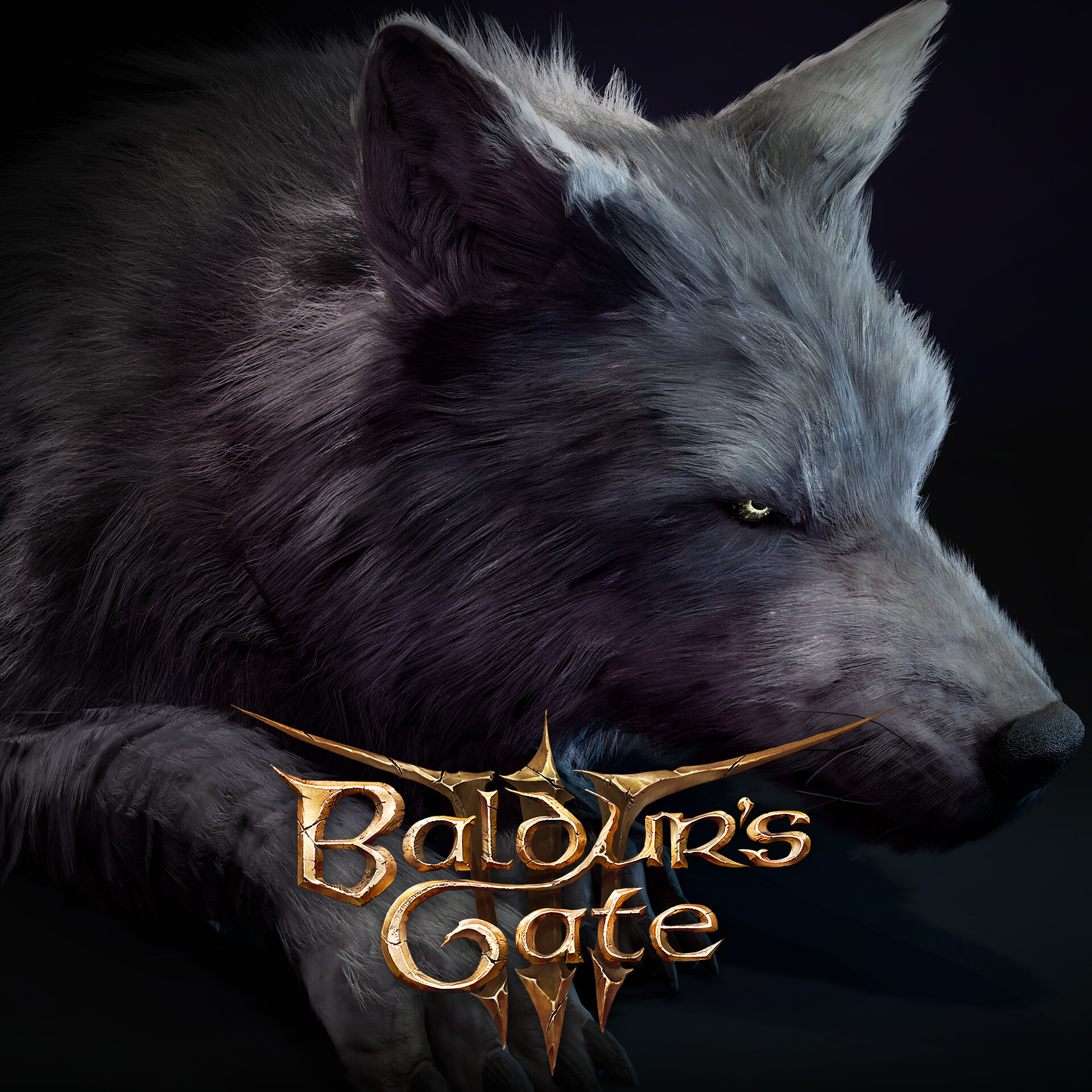 ArtStation - Baldur's Gate 3 - wolf