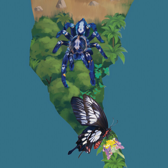 ArtStation - Asian Insects and Arthropods