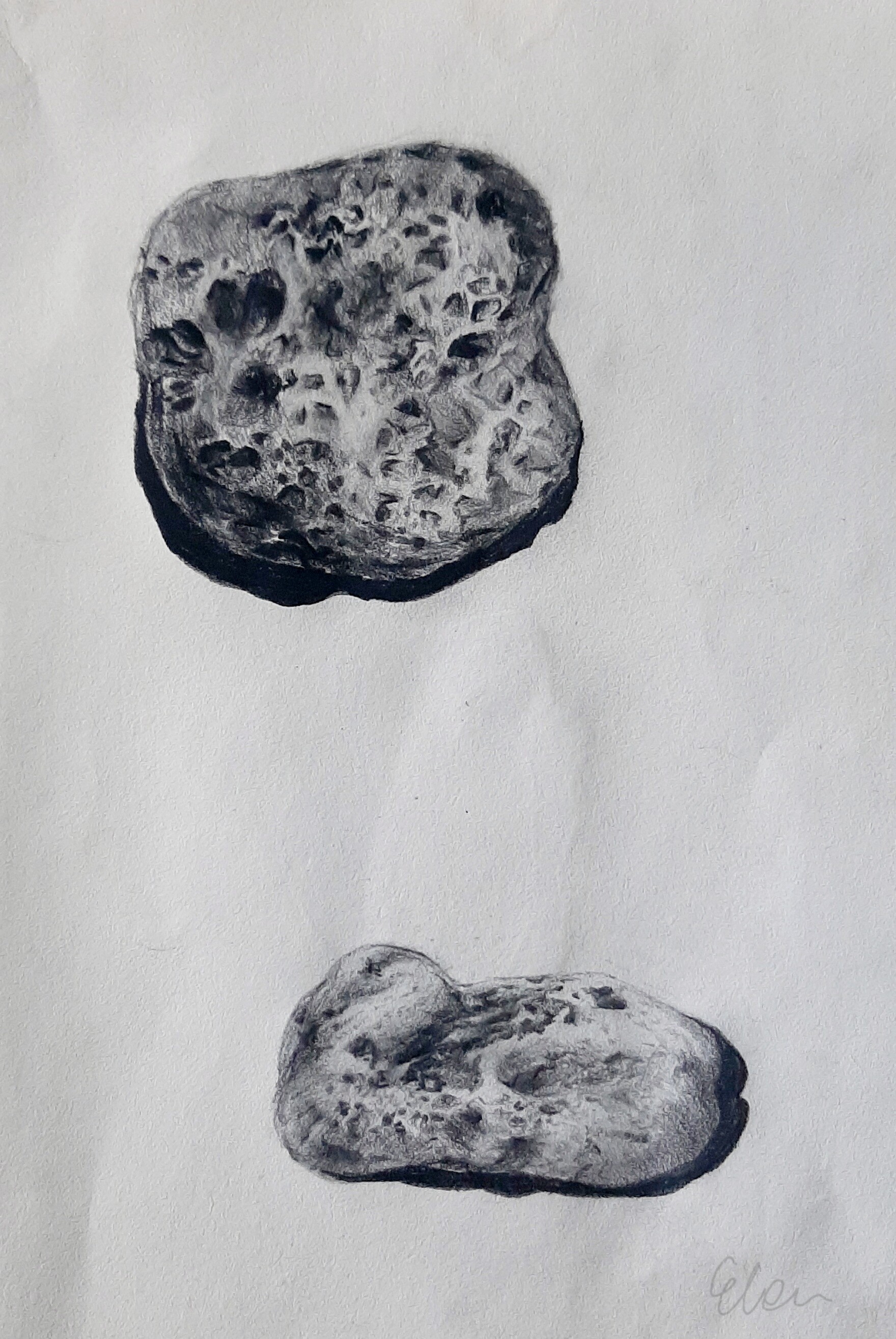 ArtStation - Stones study