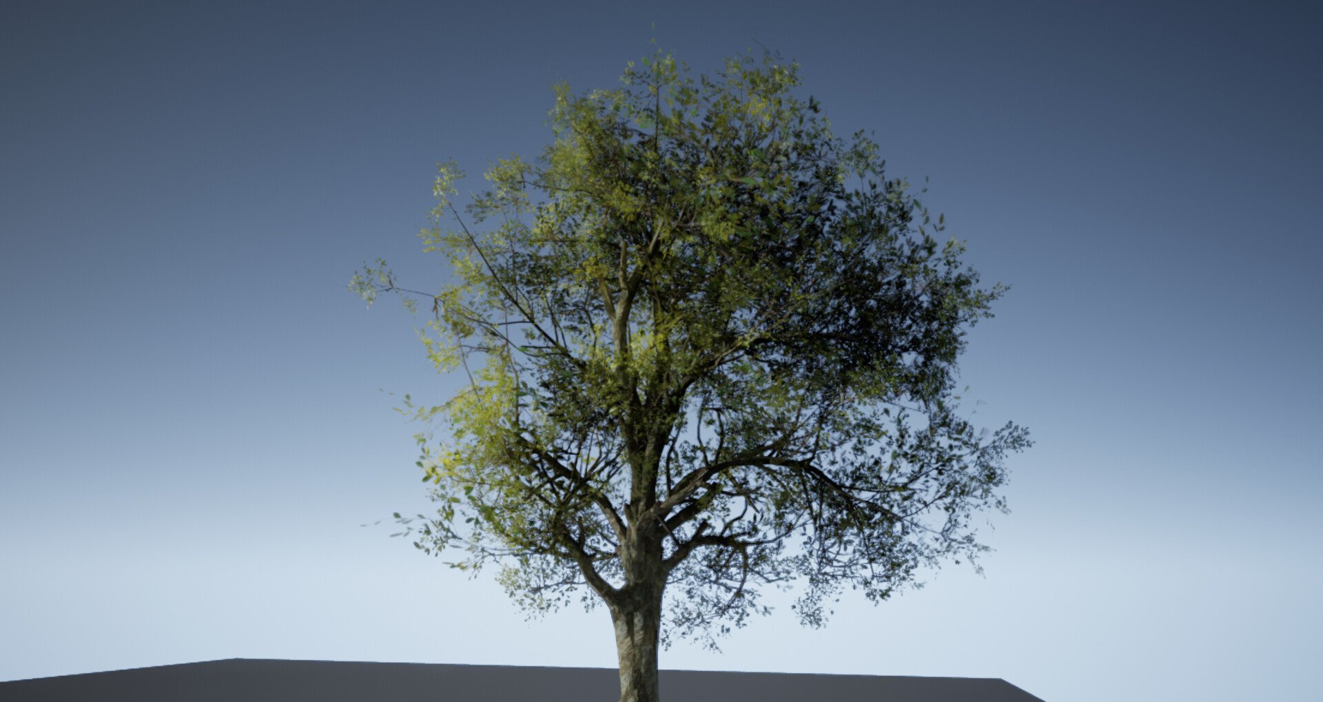 ArtStation - Speedtree-UE5