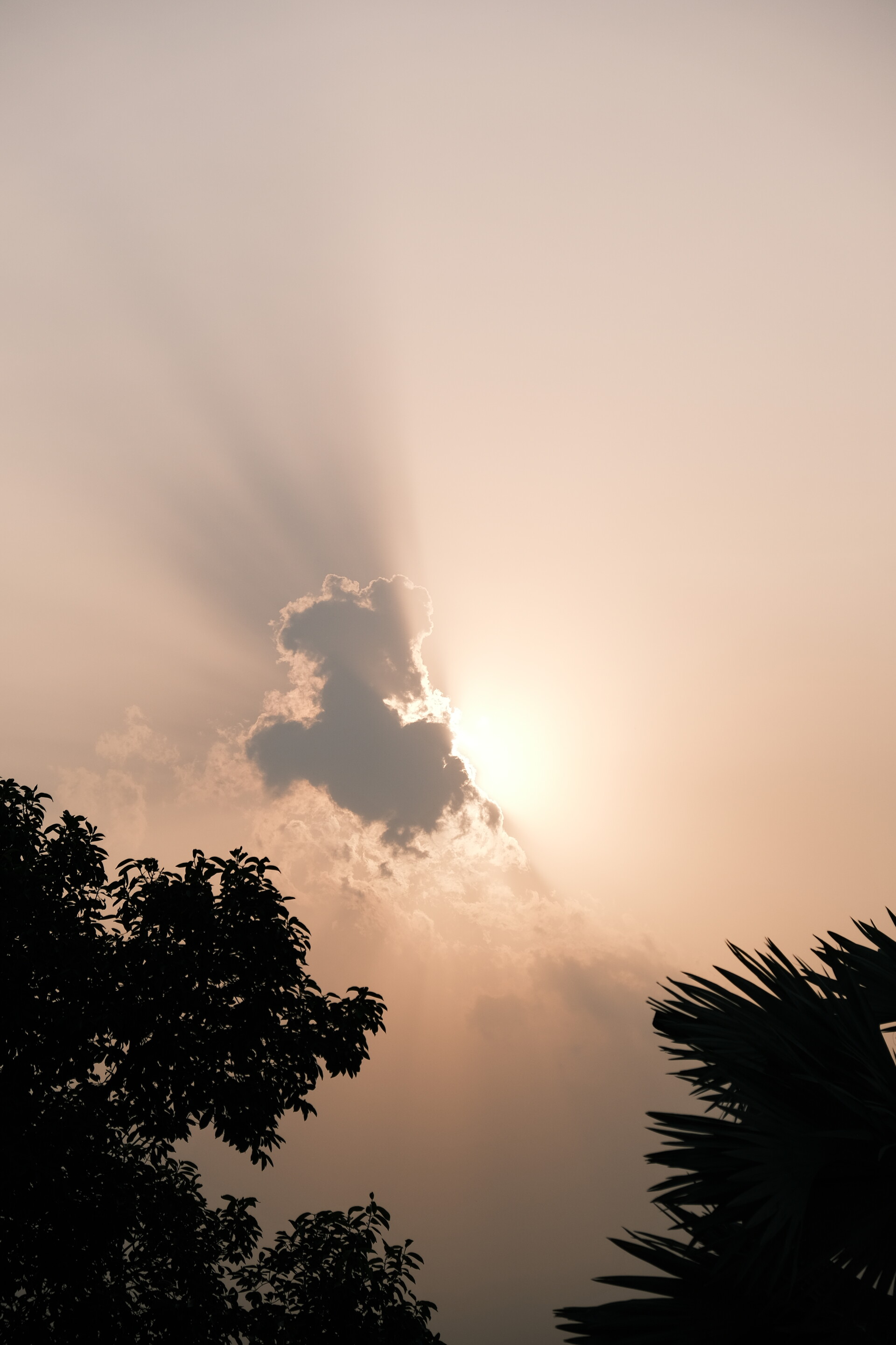 ArtStation - Hidden Sun