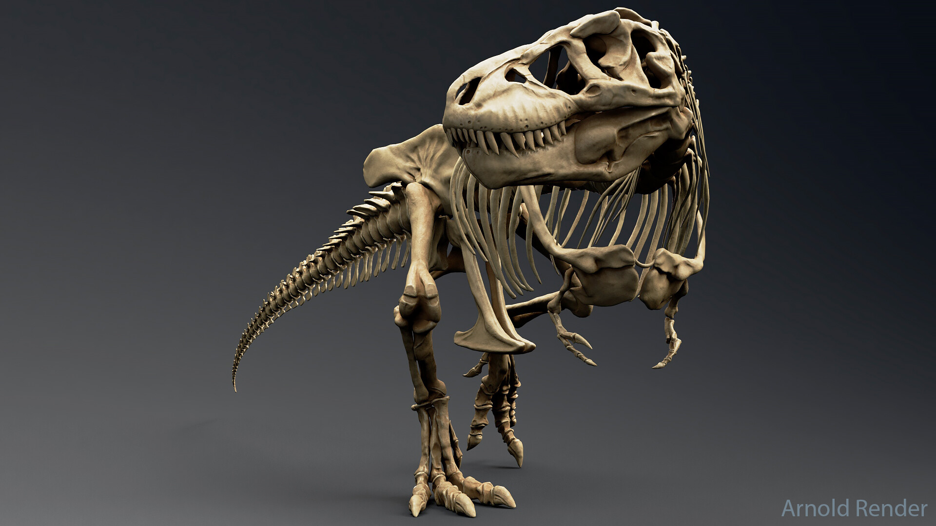 ArtStation - Tyrannosaurus Rex Sue Skeleton Unreal Engine Unity ...