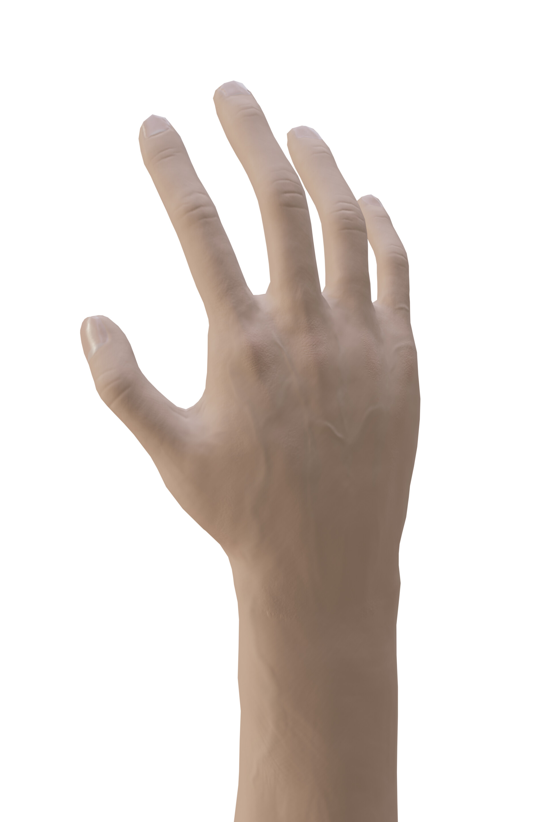 ArtStation - Hand 3D model with rig