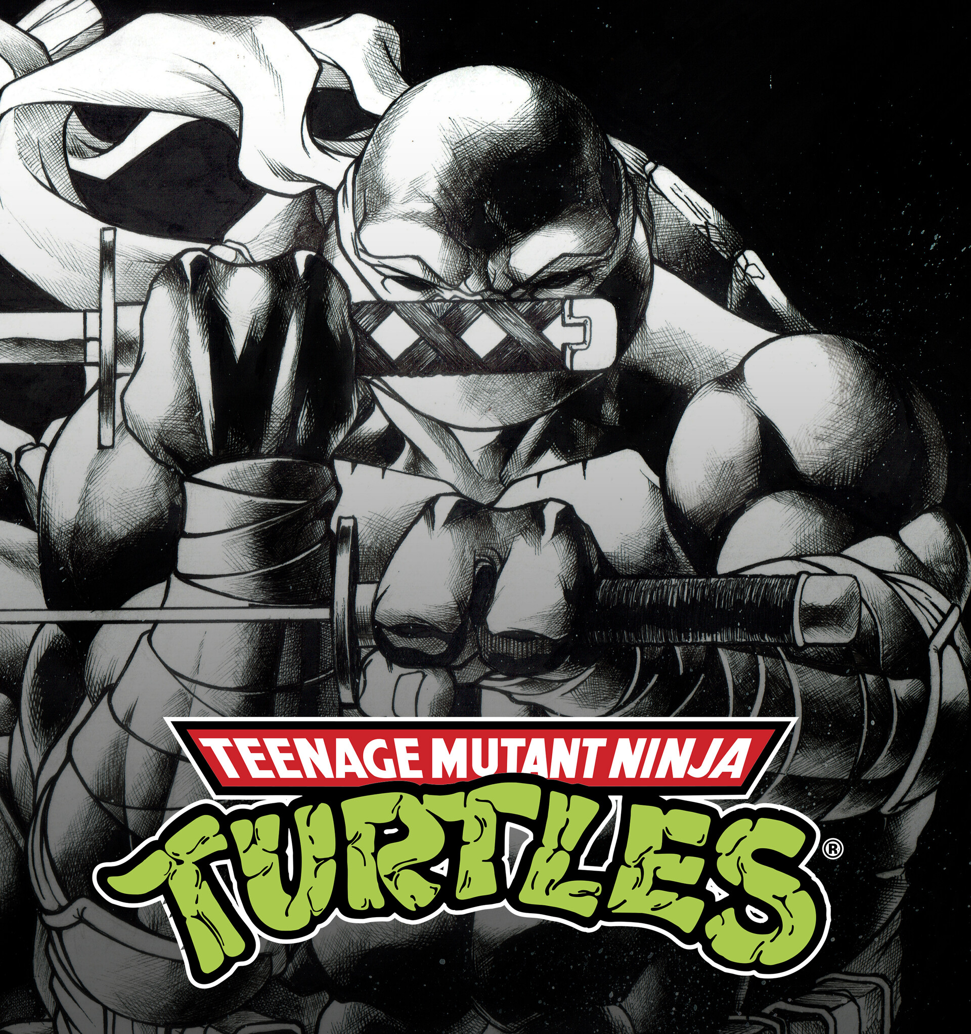 ArtStation - Teenage Mutant Ninja Turtles