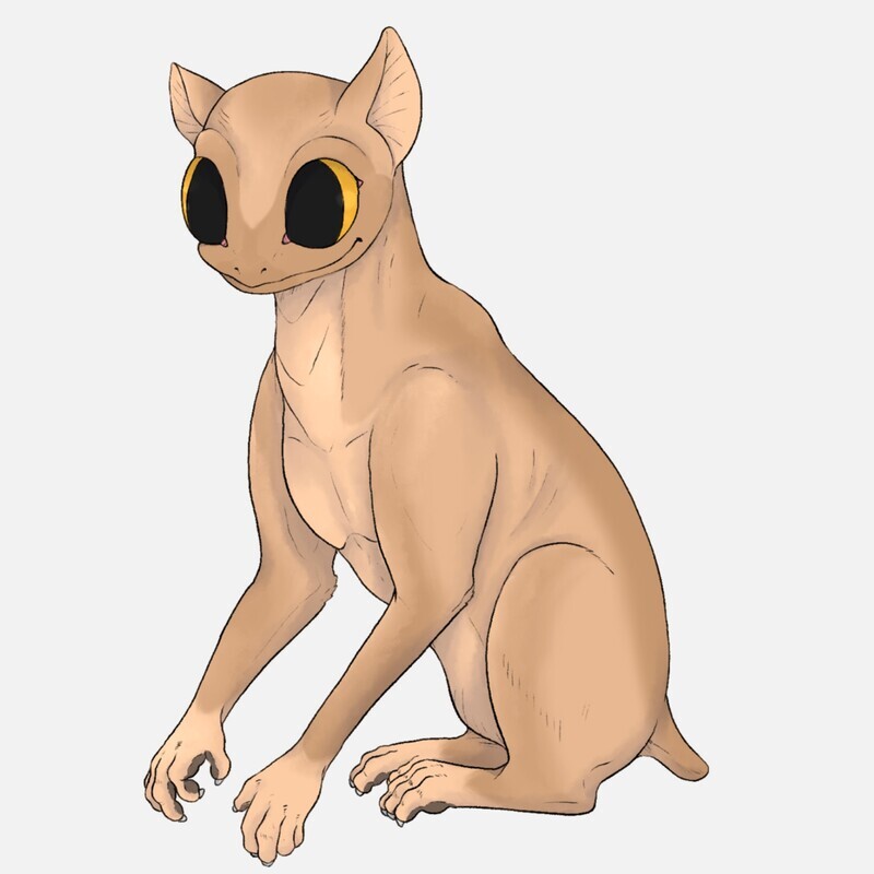 ArtStation - Monkey Cat Creature Design