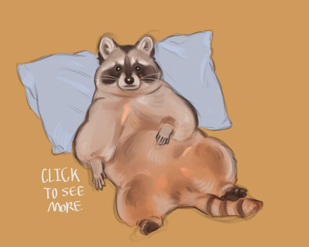 ArtStation - Raccoon Sketch Studies