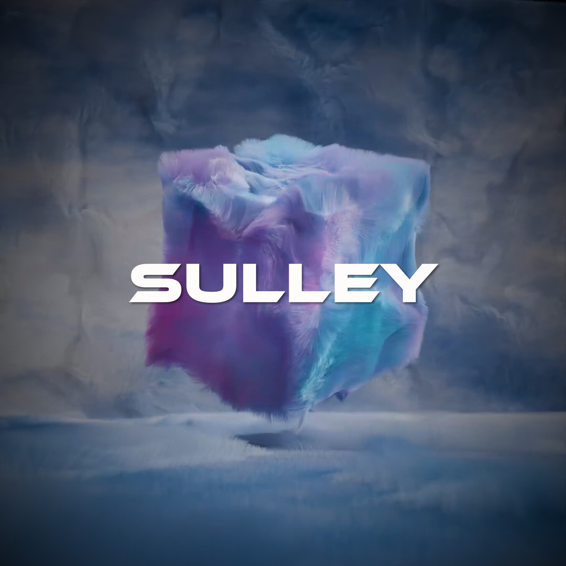 ArtStation - Sulley