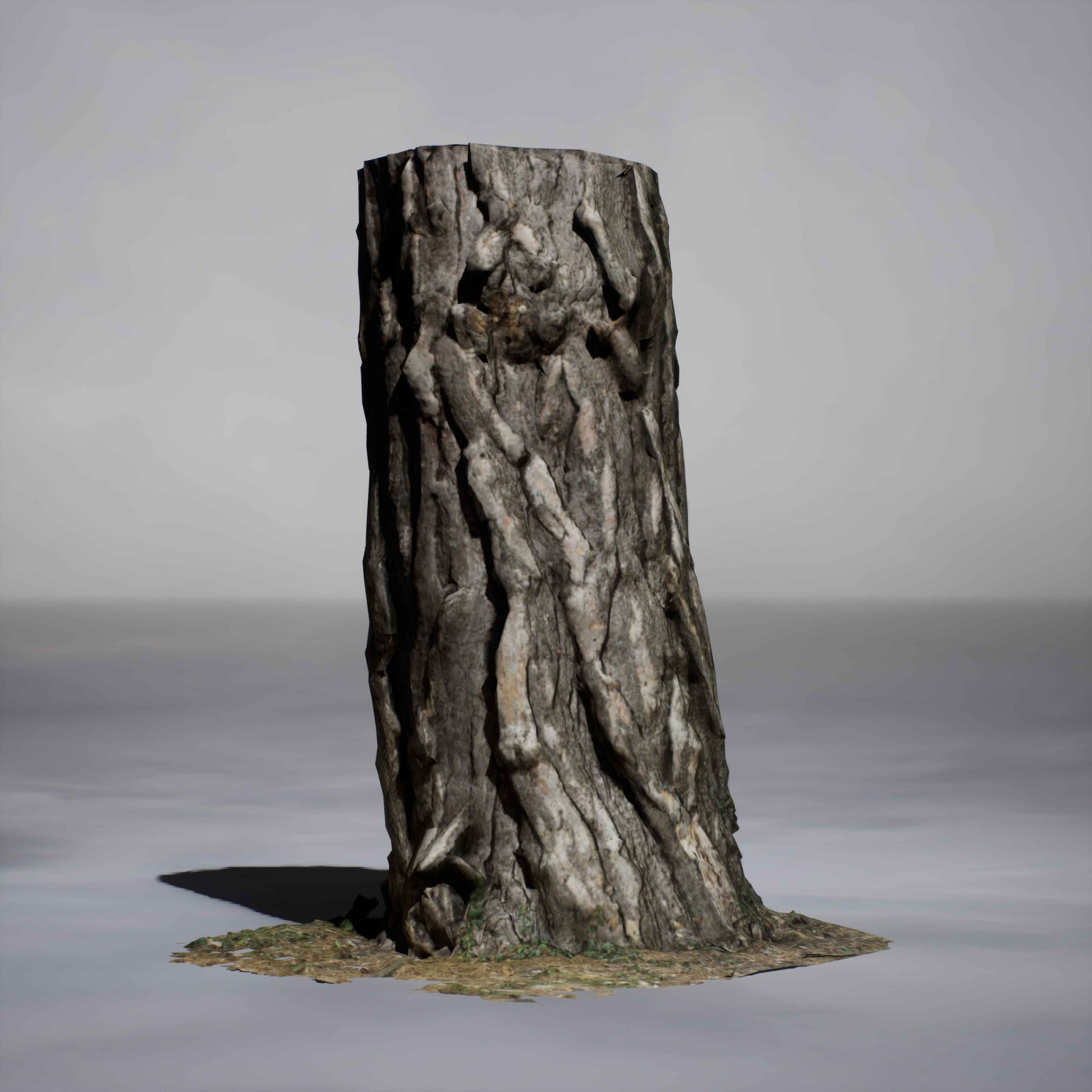ArtStation - Photoscanned Tree Trunk