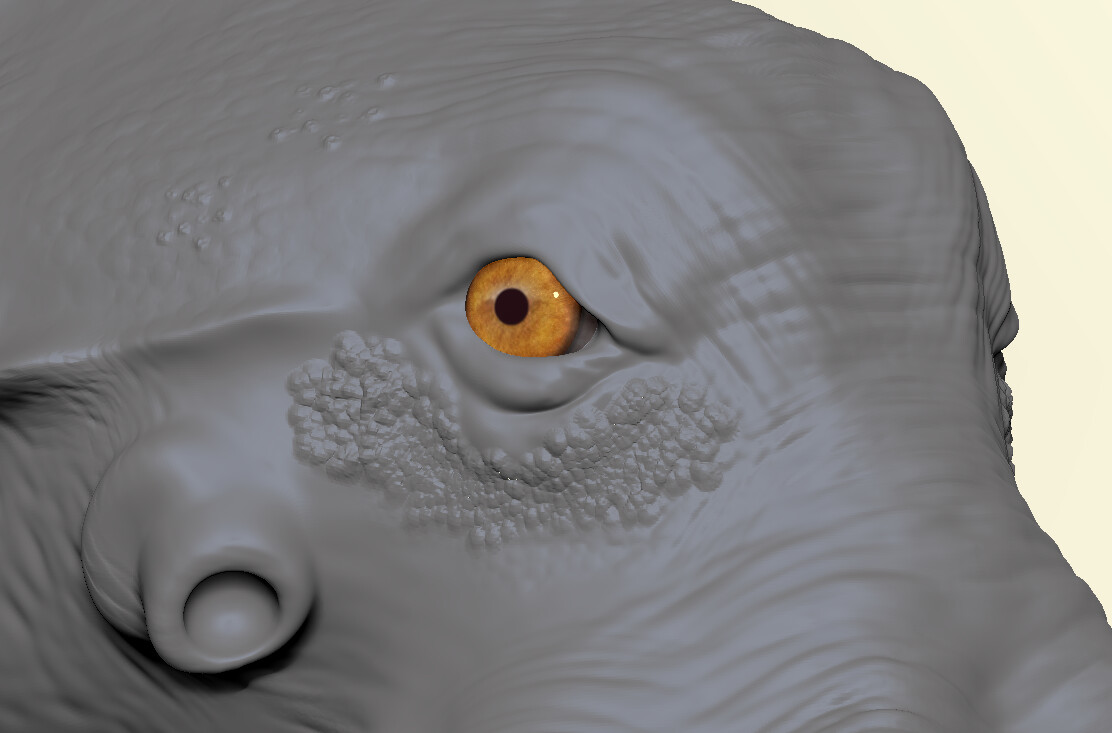 ArtStation - The Kraken (Pirates of The Caribbean)