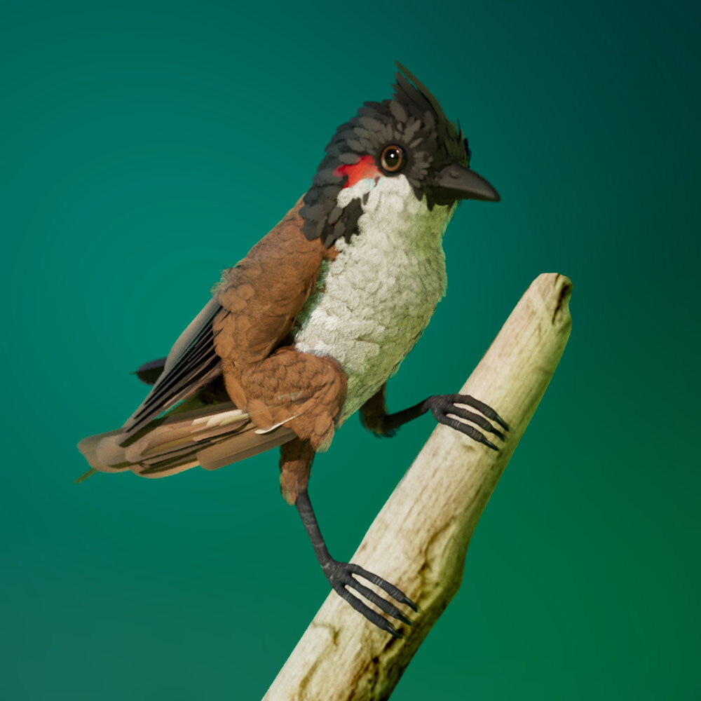 ArtStation - Bird Animation