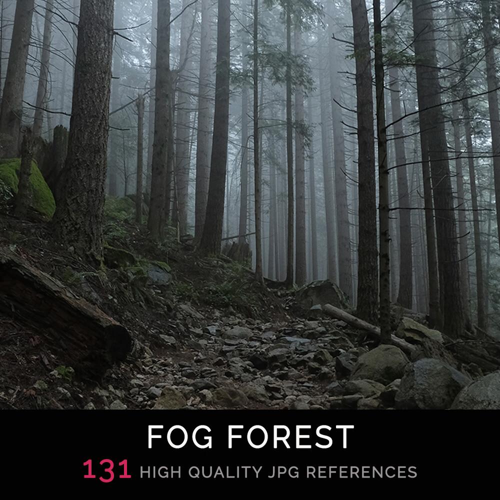 ArtStation - Fog Forest