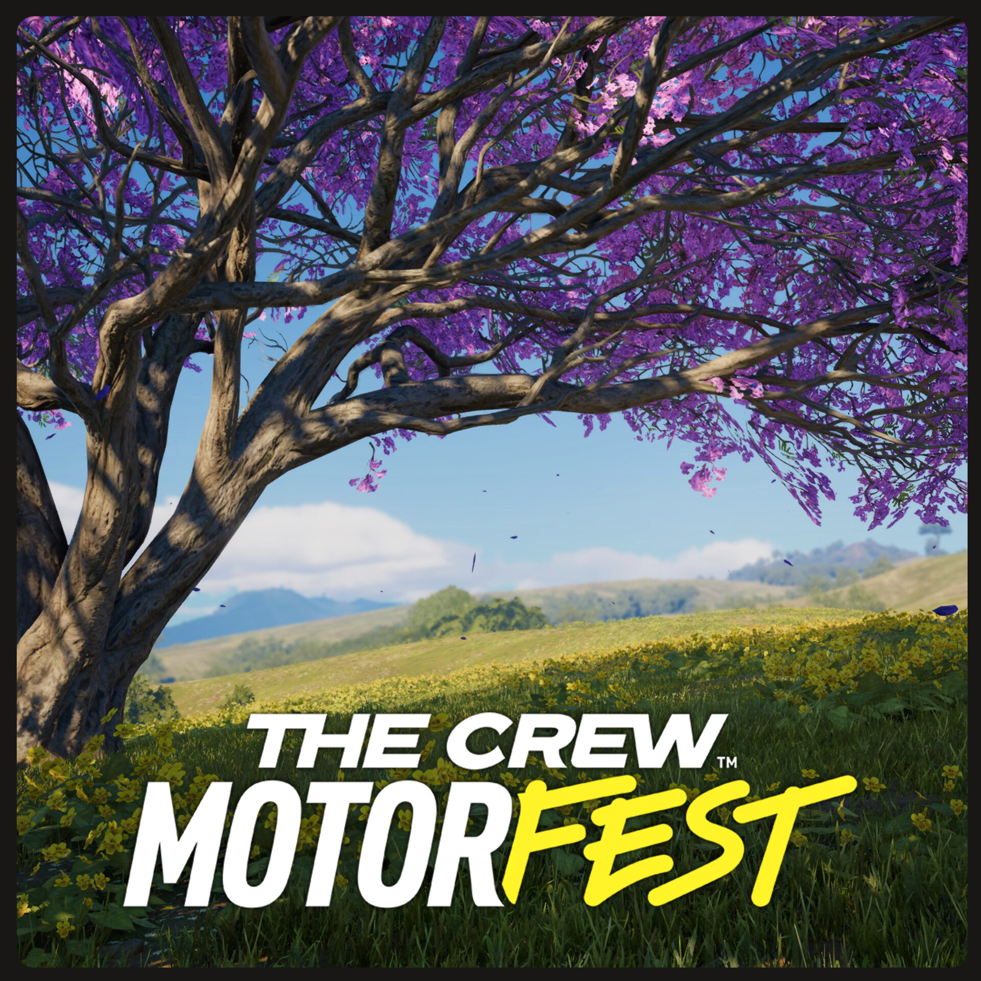 ArtStation - The Crew Motorfest - Environment